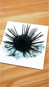 23 Colored Pencil Ocean Animals Ideas That Bring Sea Life Alive