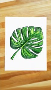 24 Colored Pencil Leaves Drawing Ideas for Stunning Botanical Art