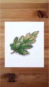 26 Colored Pencil Leaves Paintings Easy Ideas for Beginners to Try