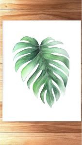 26 Colored Pencil Leaves Paintings Easy Ideas for Beginners to Try