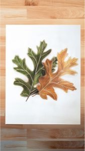 26 Colored Pencil Leaves Paintings Easy Ideas for Beginners to Try