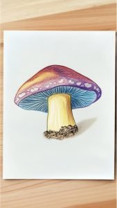 21 Colored Pencil Mushroom DIY Painting Ideas to Try Today