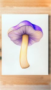 21 Colored Pencil Mushroom DIY Painting Ideas to Try Today