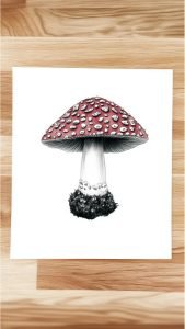 21 Colored Pencil Mushroom DIY Painting Ideas to Try Today