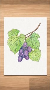 26 Colored Pencil Leaves Paintings Easy Ideas for Beginners to Try