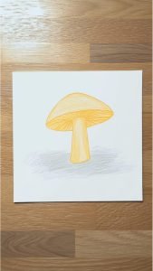 Explore Nature-Inspired Art with These 20 Colored Pencil Mushroom ...